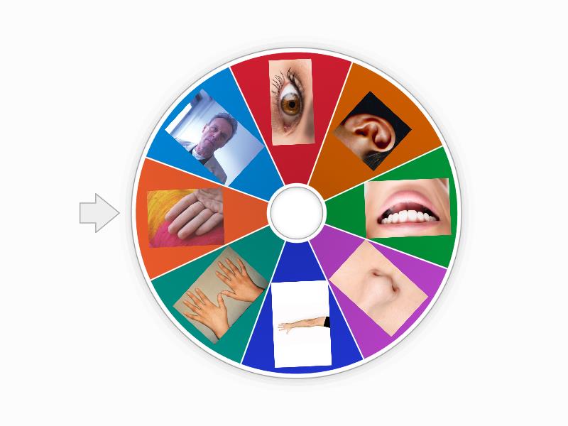 PARTS OF THE BODY!!! - Spin the wheel