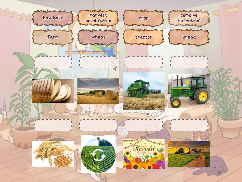 Harvest key vocabulary sort - Match up