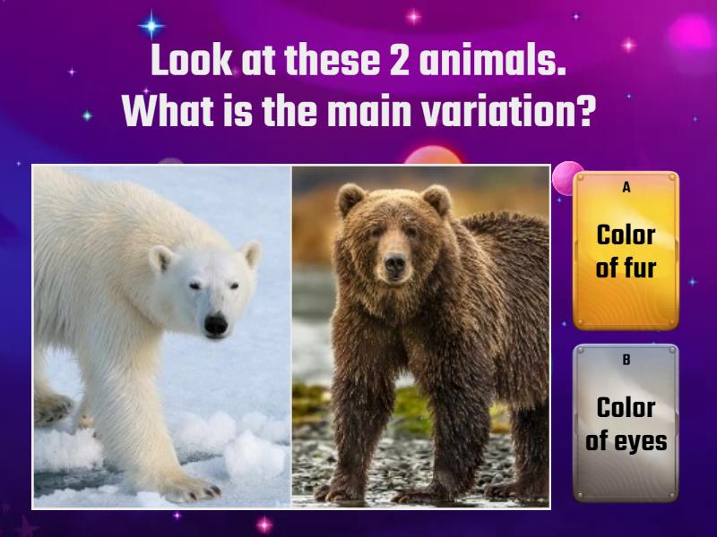 Amplify_grade 3_Unit 1_ - Quiz