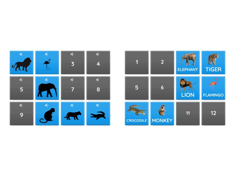 Wild animals_SHADOW - Matching pairs