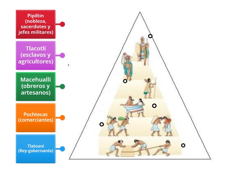 Piramide social aztecas - Labelled diagram