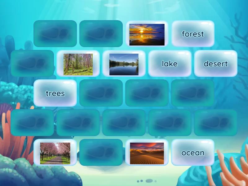The Environment - Matching pairs