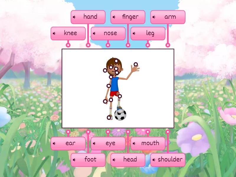Body parts-Label - Labelled diagram
