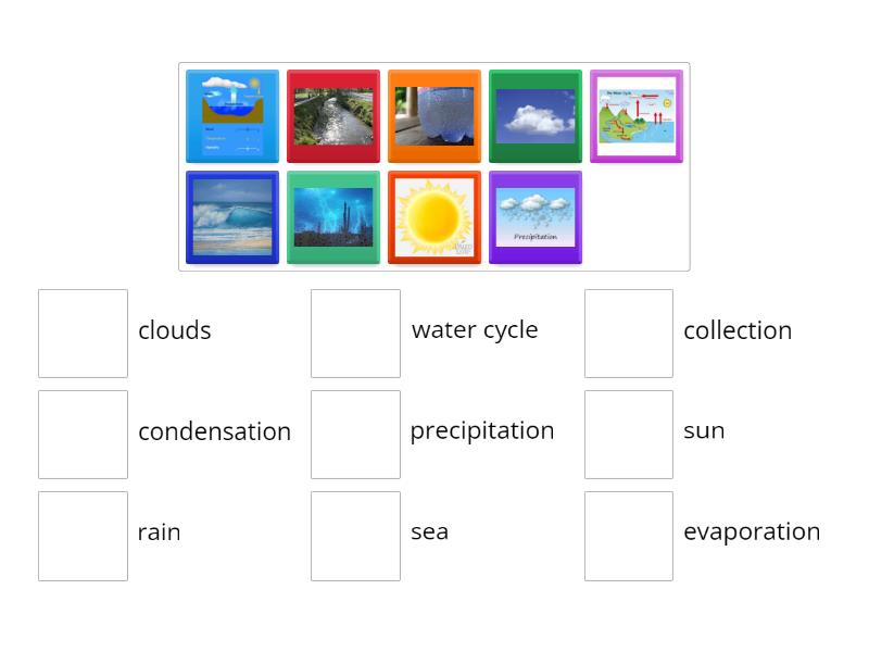 Water cycle VOCABULARY - Match up