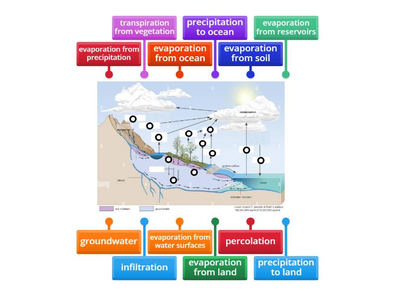 Water Cycle labelling - Labelled diagram