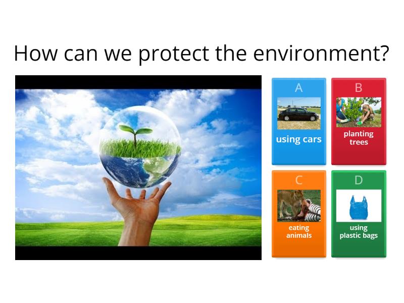 Pollution Review - Quiz