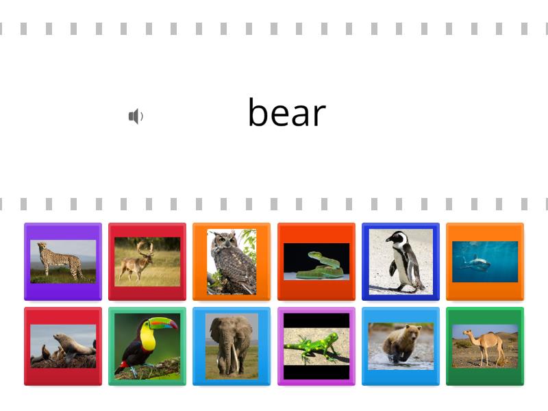Wild animals level 2 - Find the match