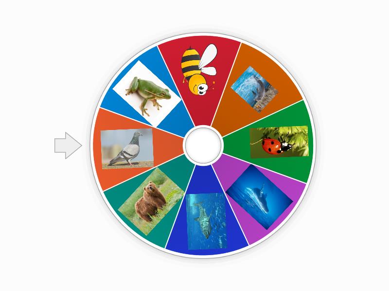 animal wheel - Spin the wheel