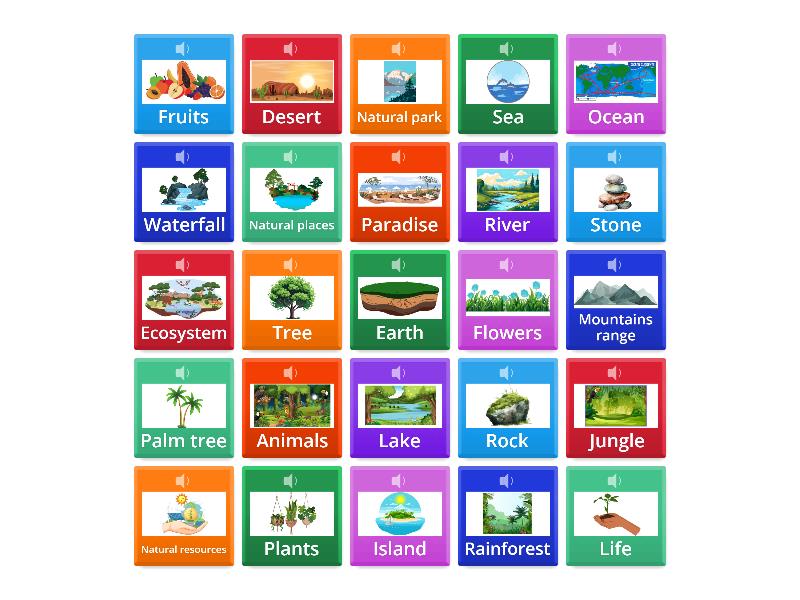 Natural environment vocabulary - Flip tiles
