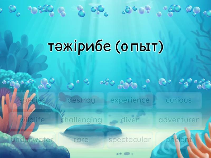 3a new words - Find the match