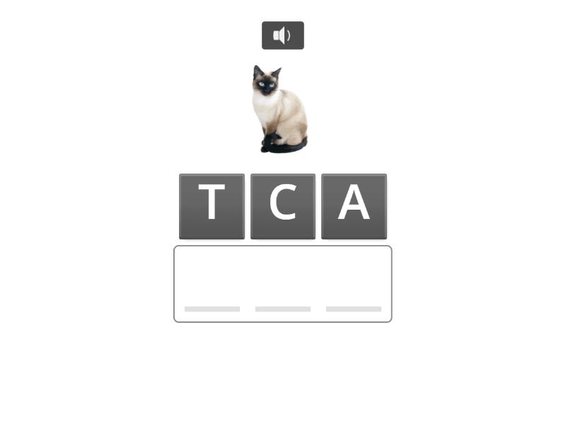 BELA CVC WORDS - Anagram