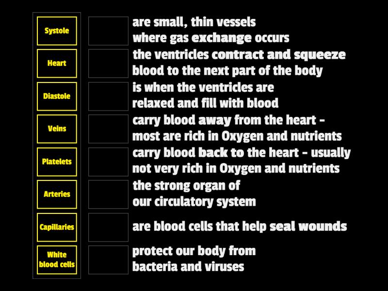 Circulation & Heart - Match up