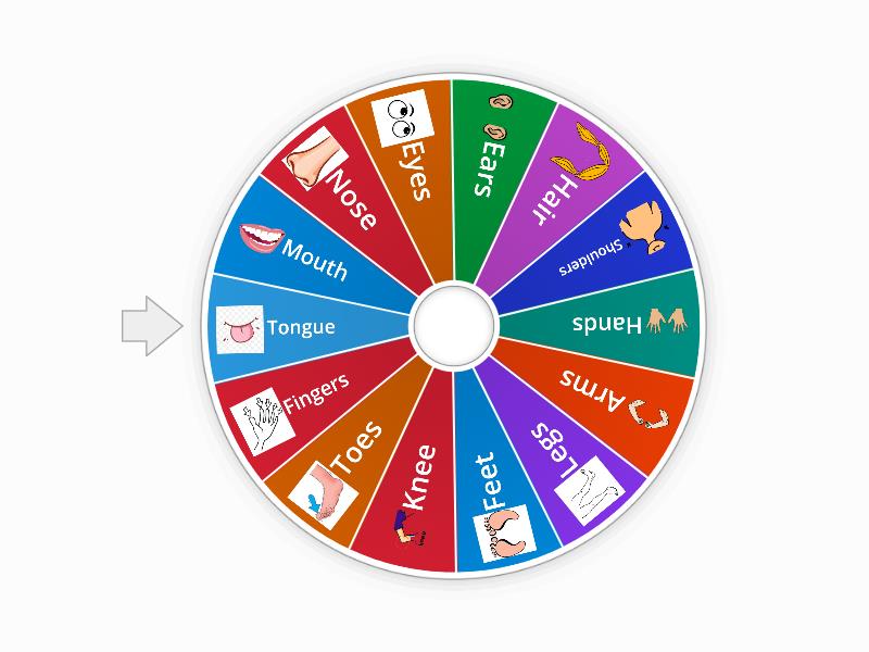 BODY PARTS (WHEEL) - Spin the wheel