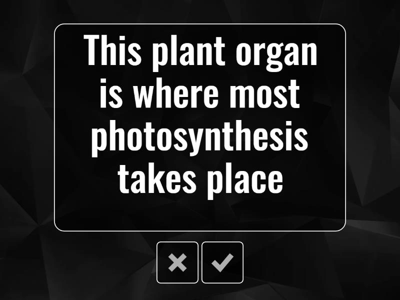 photosynthesis - Flash cards