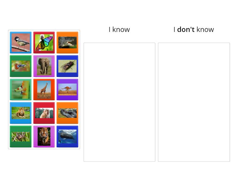 GG 1 U7 L1 - Categorize