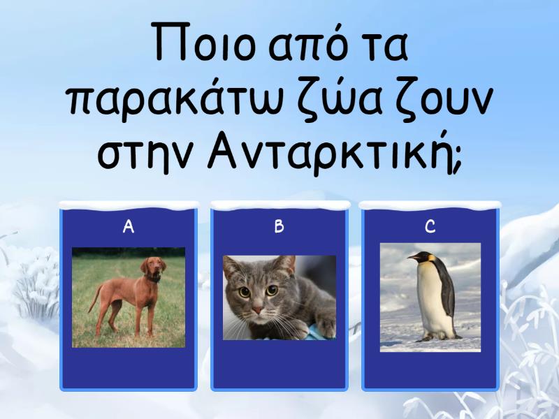 Τα ζώα της Ανταρκτικής - Quiz