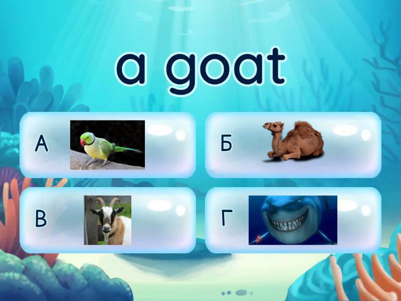 SM1 Super Minds 1 unit 6 Geography - Quiz