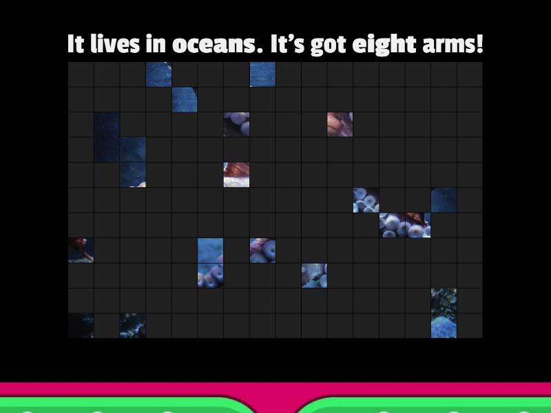 Animal Mystery Guessing Game () - Image quiz