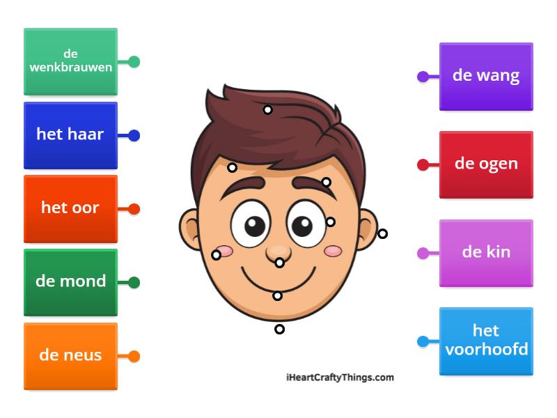 Het gezicht - Labelled diagram