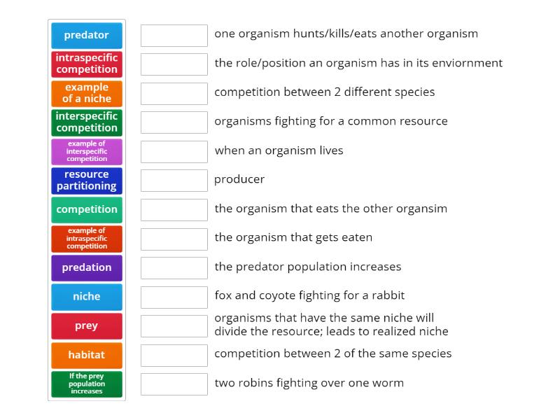 Competition/Predation - Une las parejas