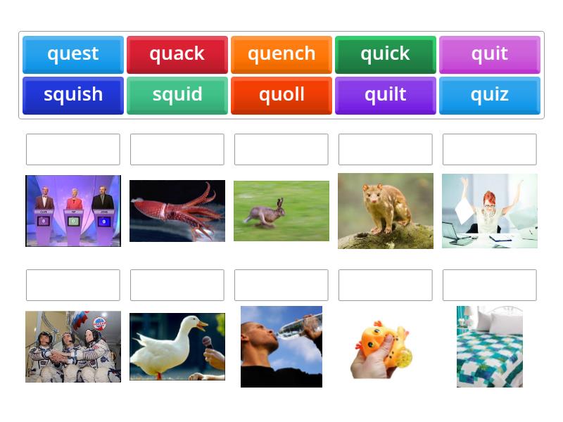 qu words - Match up