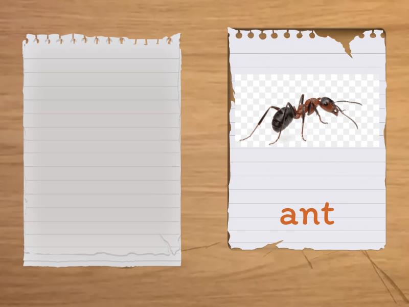 Oxford Phonics 1 Letter Aa - Speaking cards