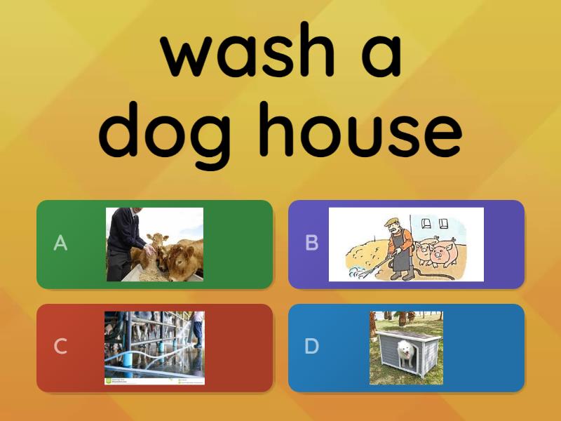 Look after animals - Quiz