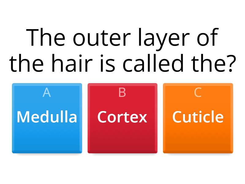 VTCT Barbering Hair and Skin - Quiz