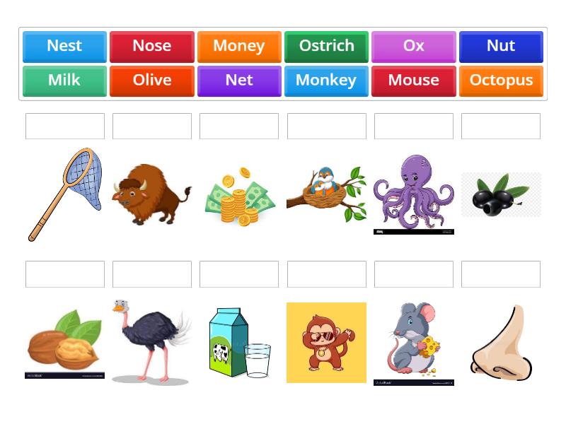 Phonics 1 Unit 5 - Match up