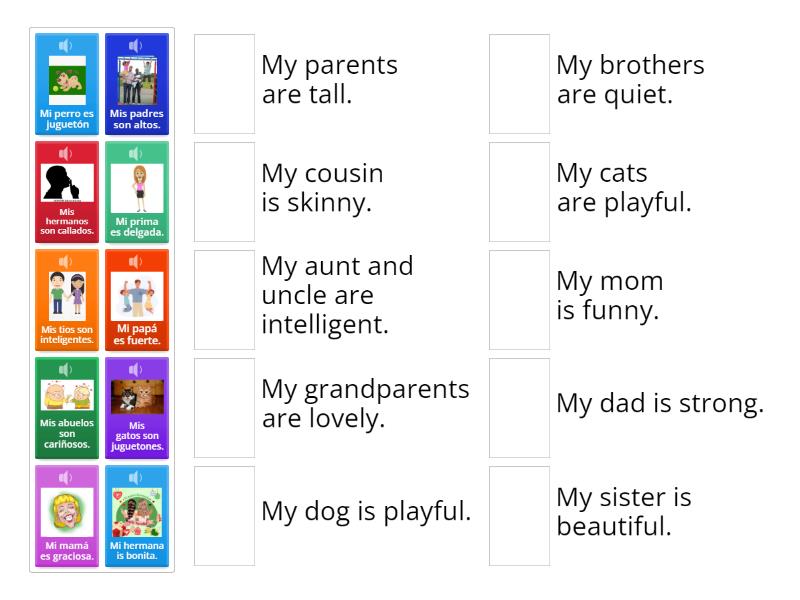 Describing My Family Members in Spanish - Match up