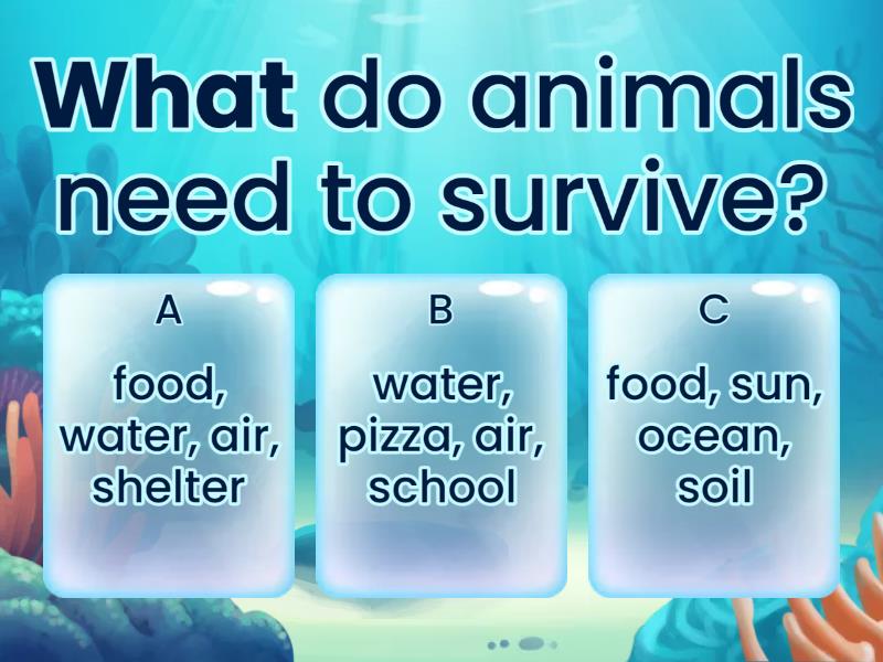 Habitats and animal needs - Quiz