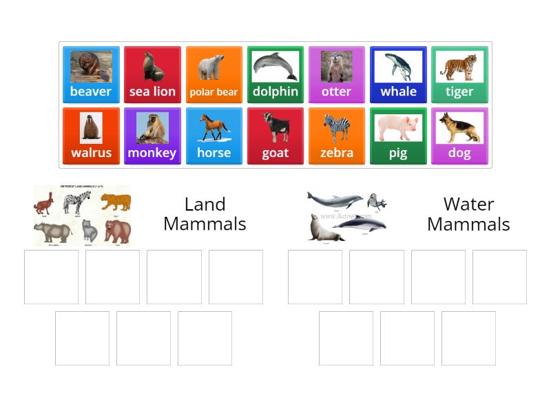 Land Mammals and Water Mammals - Group sort