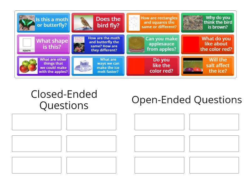 Open-Ended or Closed-Ended Questions? - Group sort