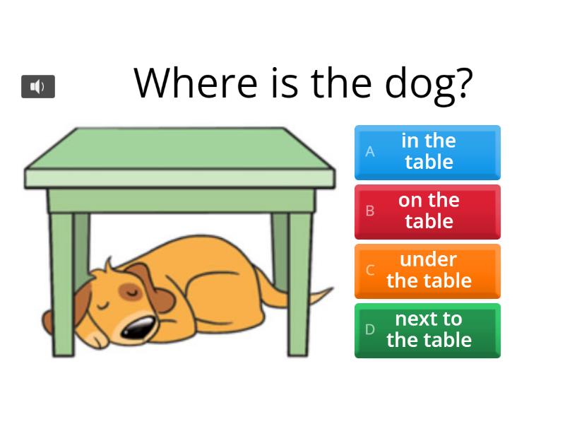 Prepositions (in, on, under, next to) - Quiz