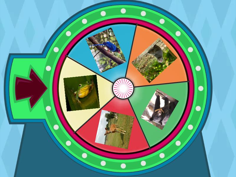 Endemic Animals - Spin the wheel