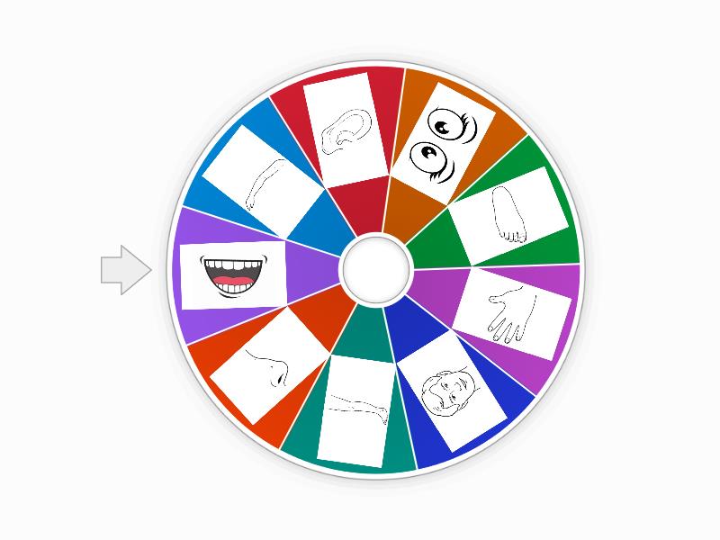 Human body - Spin the wheel