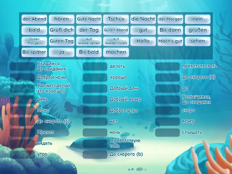 Hallo (basic) - Match up