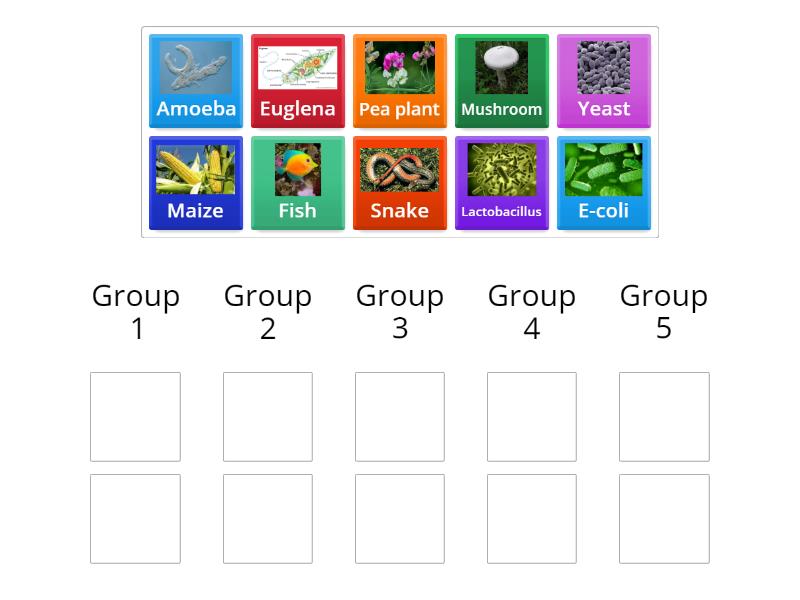 Organism Classification - Group sort