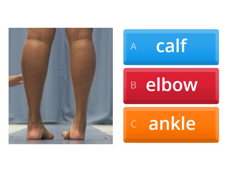 body parts revision unit 4 - Quiz