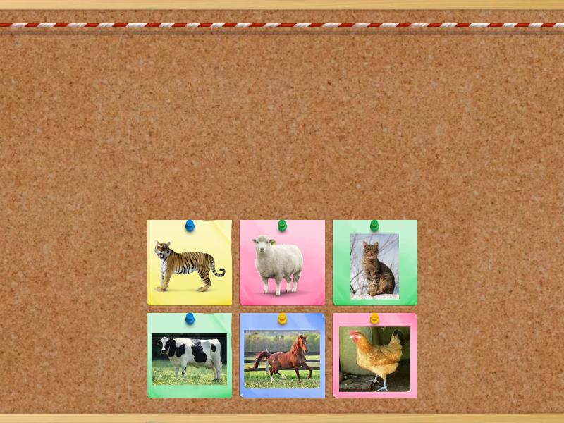 PRE-KIDS - UNIT 2 - CLIL - Baby animals - Find the match