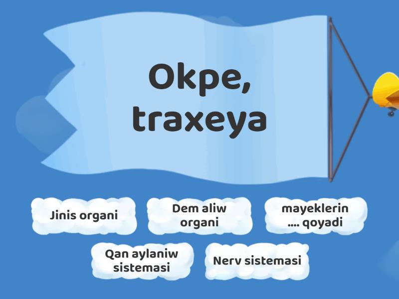 ormekshi tarizliler - Find the match