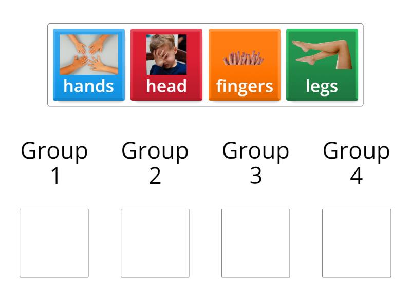 body parts - Group sort