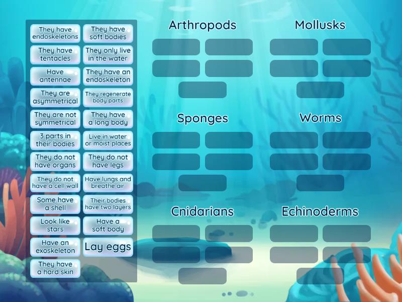 invertebrates - Group sort
