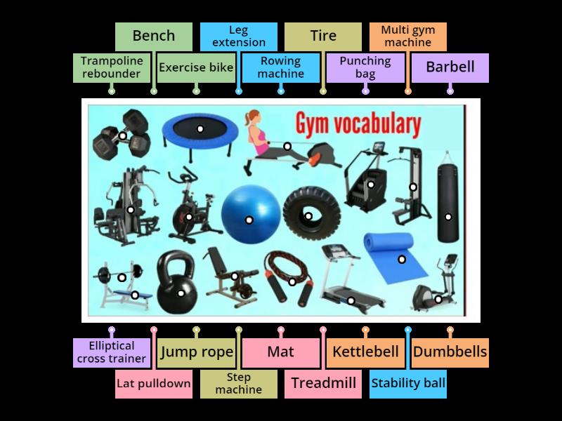 Gym vocabulary - Labelled diagram