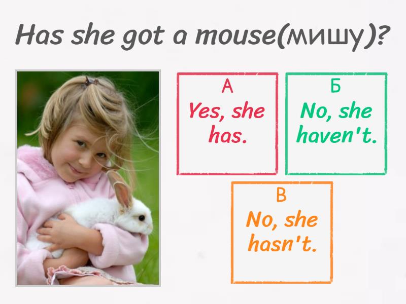 U8 L Has got / Have got - Quiz