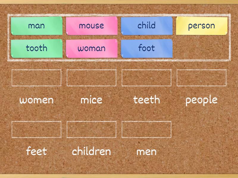 Plural noun1 - Match up