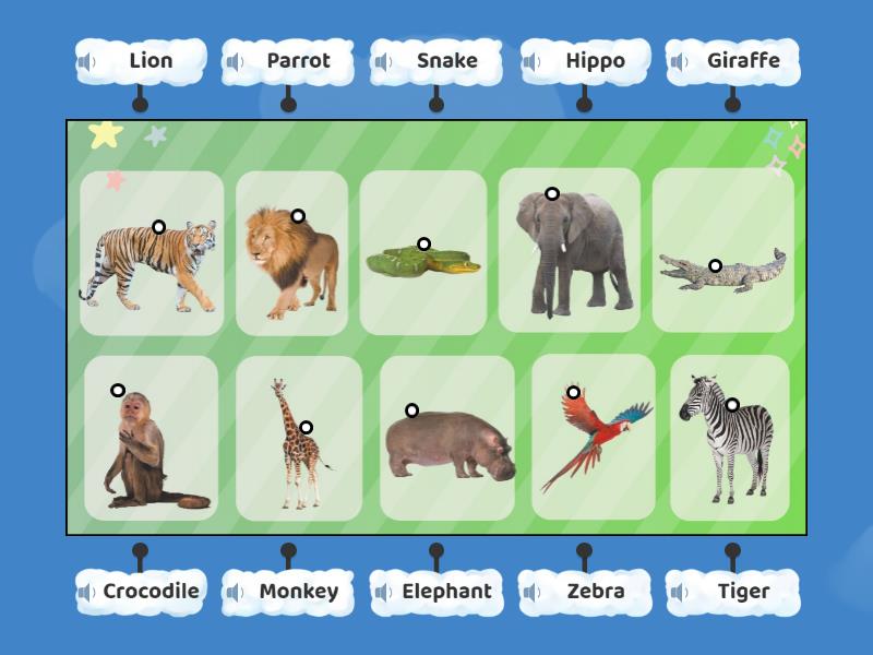 Wild Animals - Label - Labelled diagram