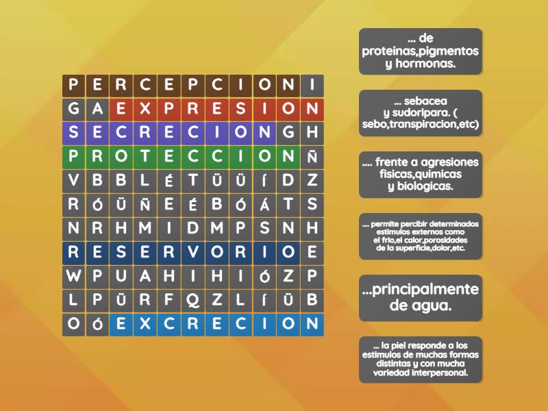 Funciones de la piel - Sopa de letras