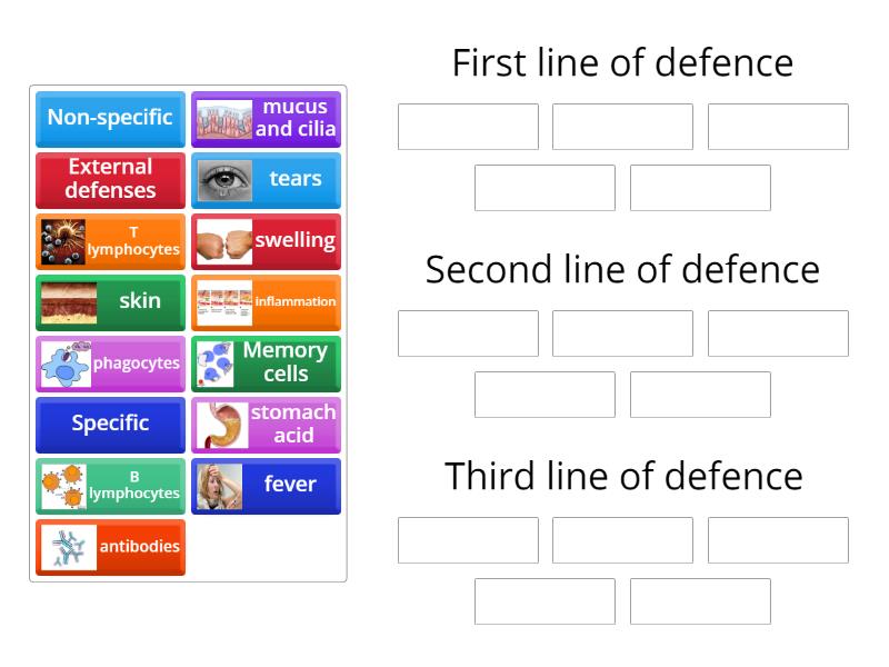 Immune system - lines of defence - Group sort
