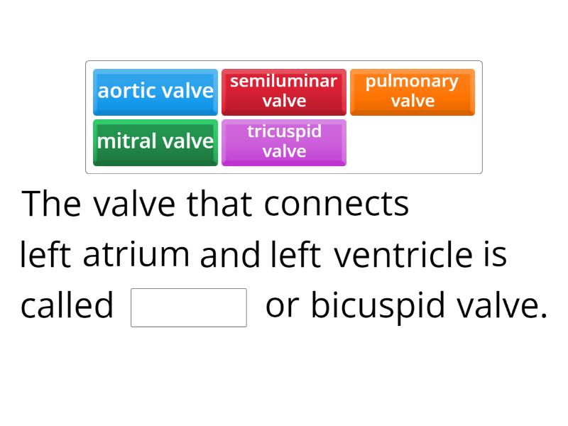 Cardiovascular System - Complete the sentence